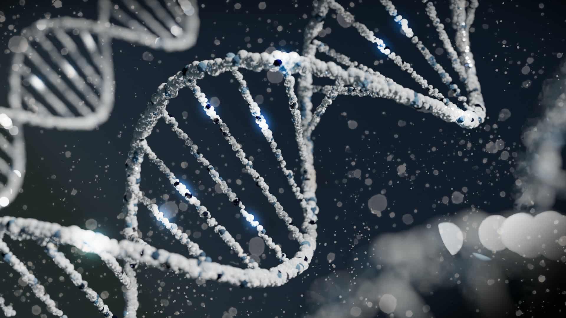 Google DeepMind, AlphaFold 3 permette di modellare DNA e RNA